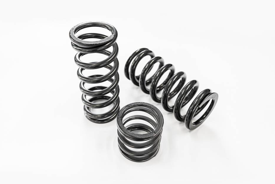 T5 T5.1 T6 Cobra 40mm lowering springs – Travelin-Lite