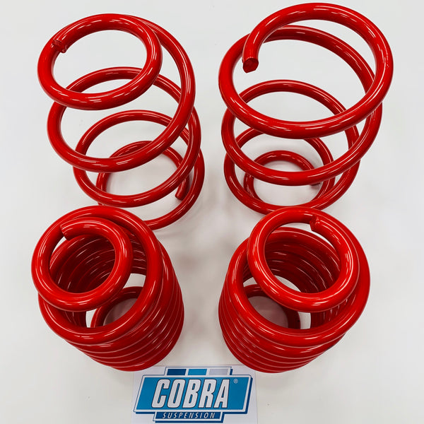 T5 T5.1 T6 Cobra 40mm lowering springs – Travelin-Lite